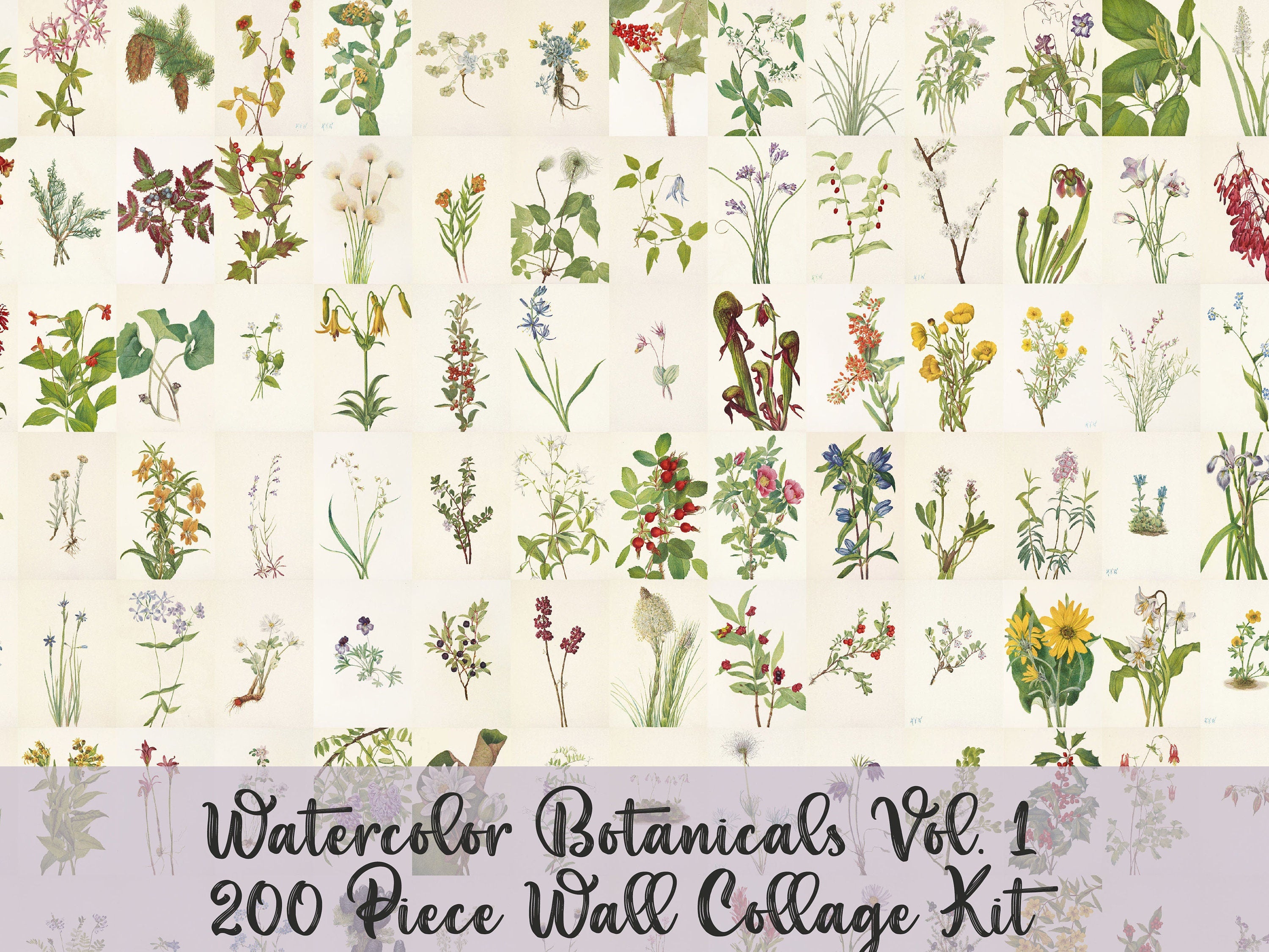 Watercolor Wildflowers 4"x6" Collage Kit Set 1 | Collage Kit Images ...