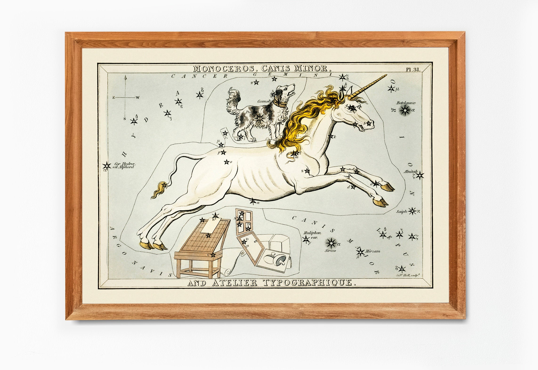 Dog & Unicorn Constellation Star Chart | Zodiac & Astrology Images ...