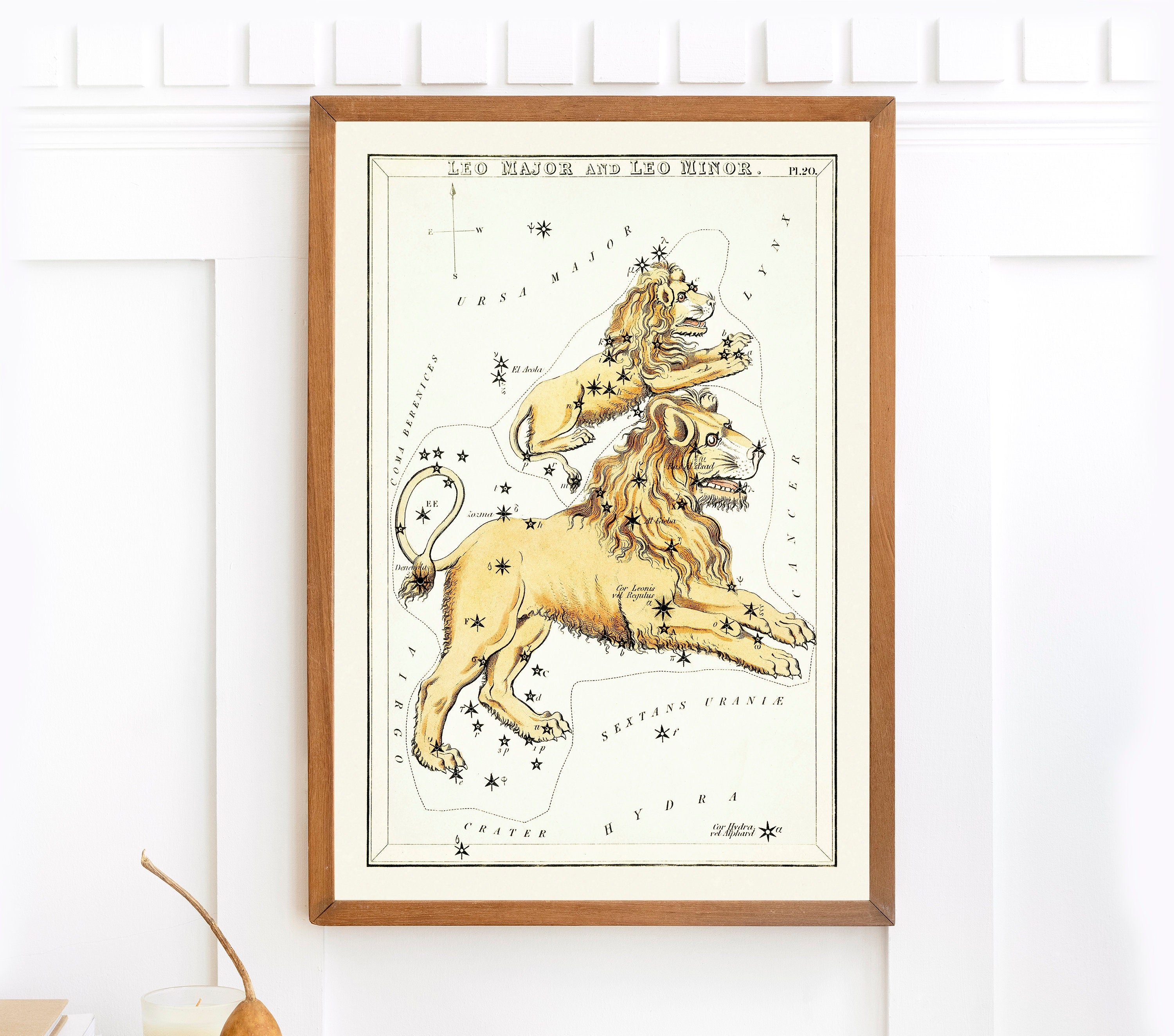Leo Constellation Star Chart | Zodiac & Astrology Images - CleanArchives