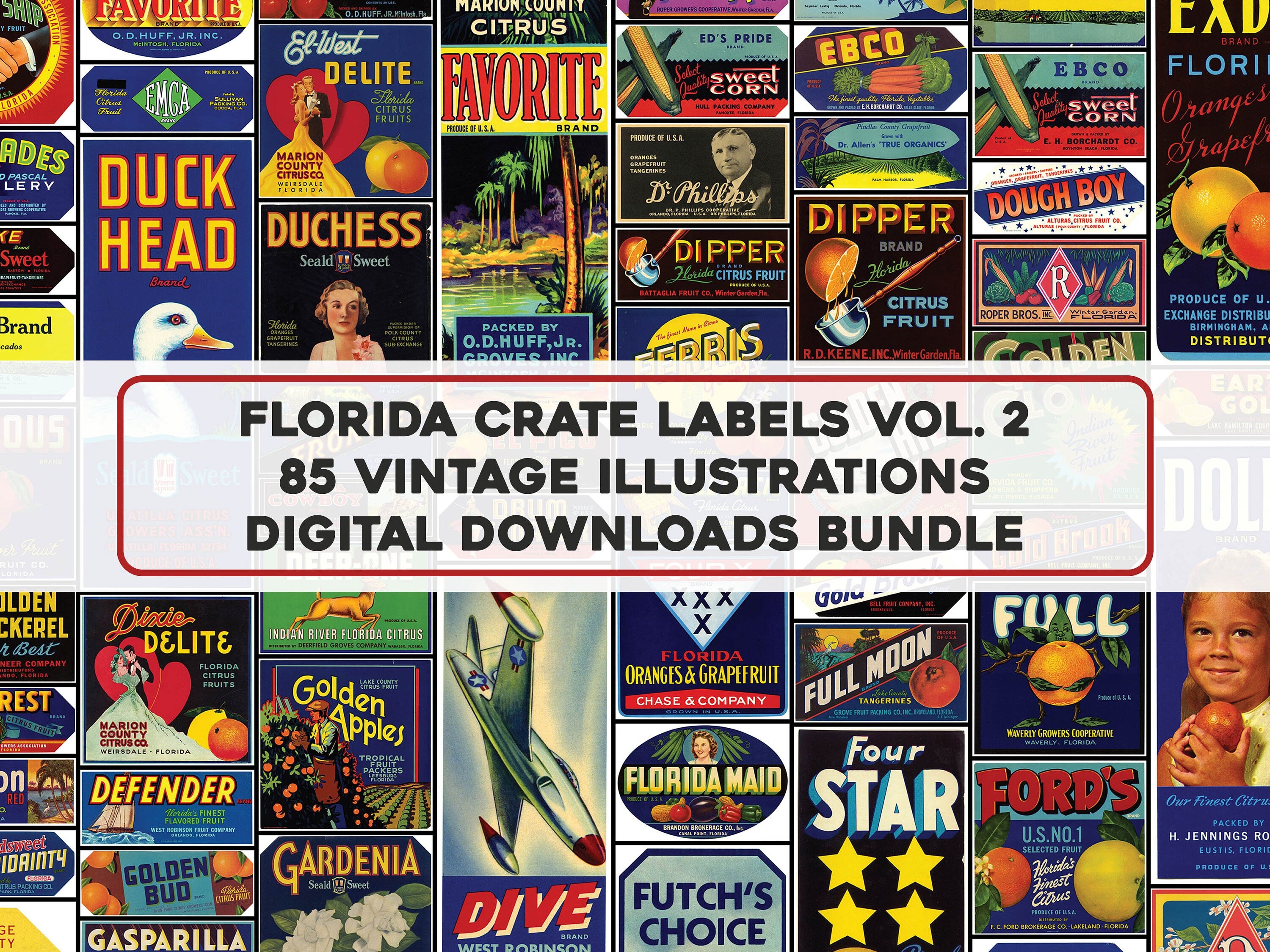 Florida Citrus Vegetable Produce Farm Crate Labels Set 2 | Vintage ...