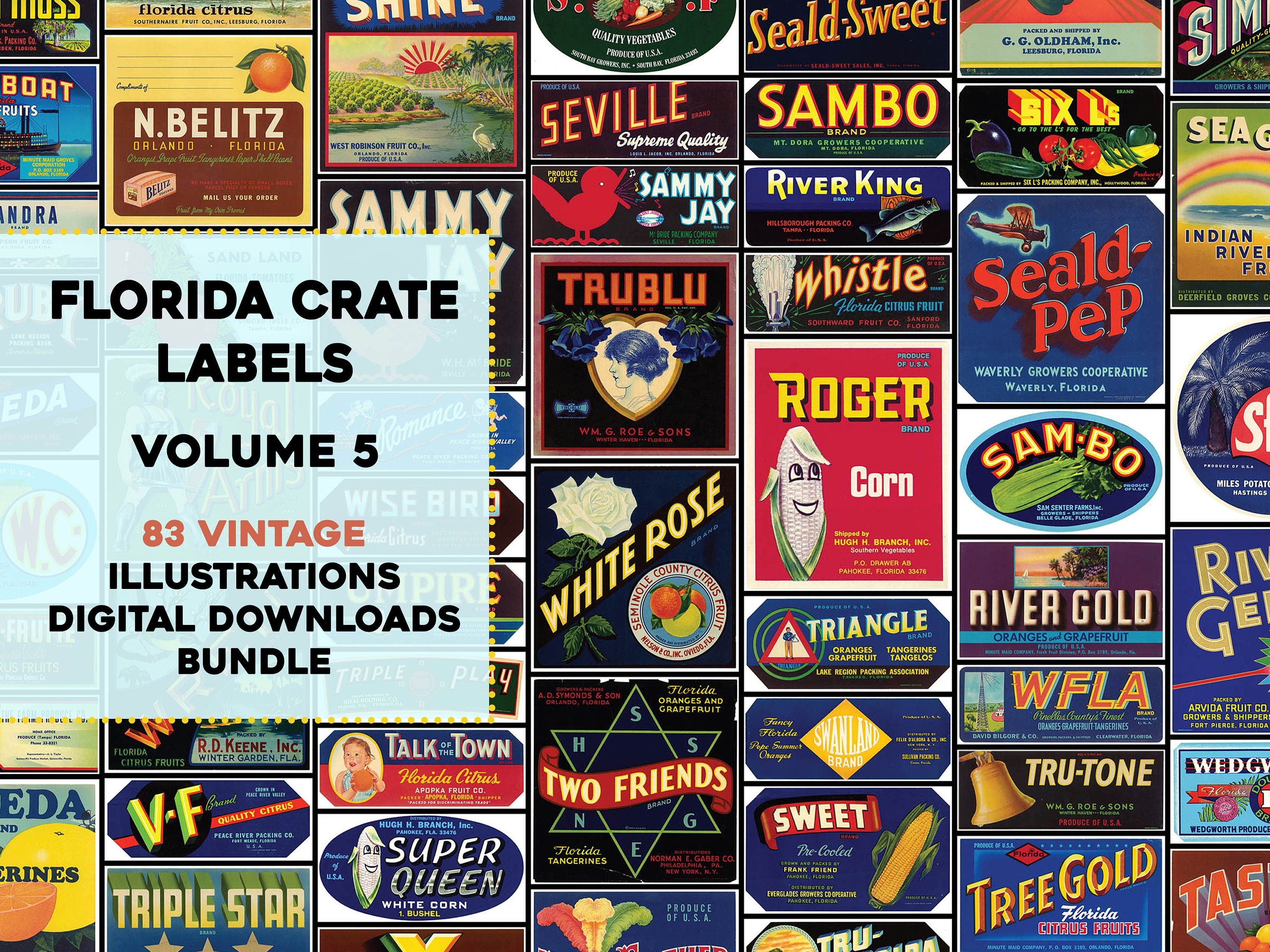 Florida Citrus Vegetable Produce Farm Crate Labels Set 5 | Vintage ...