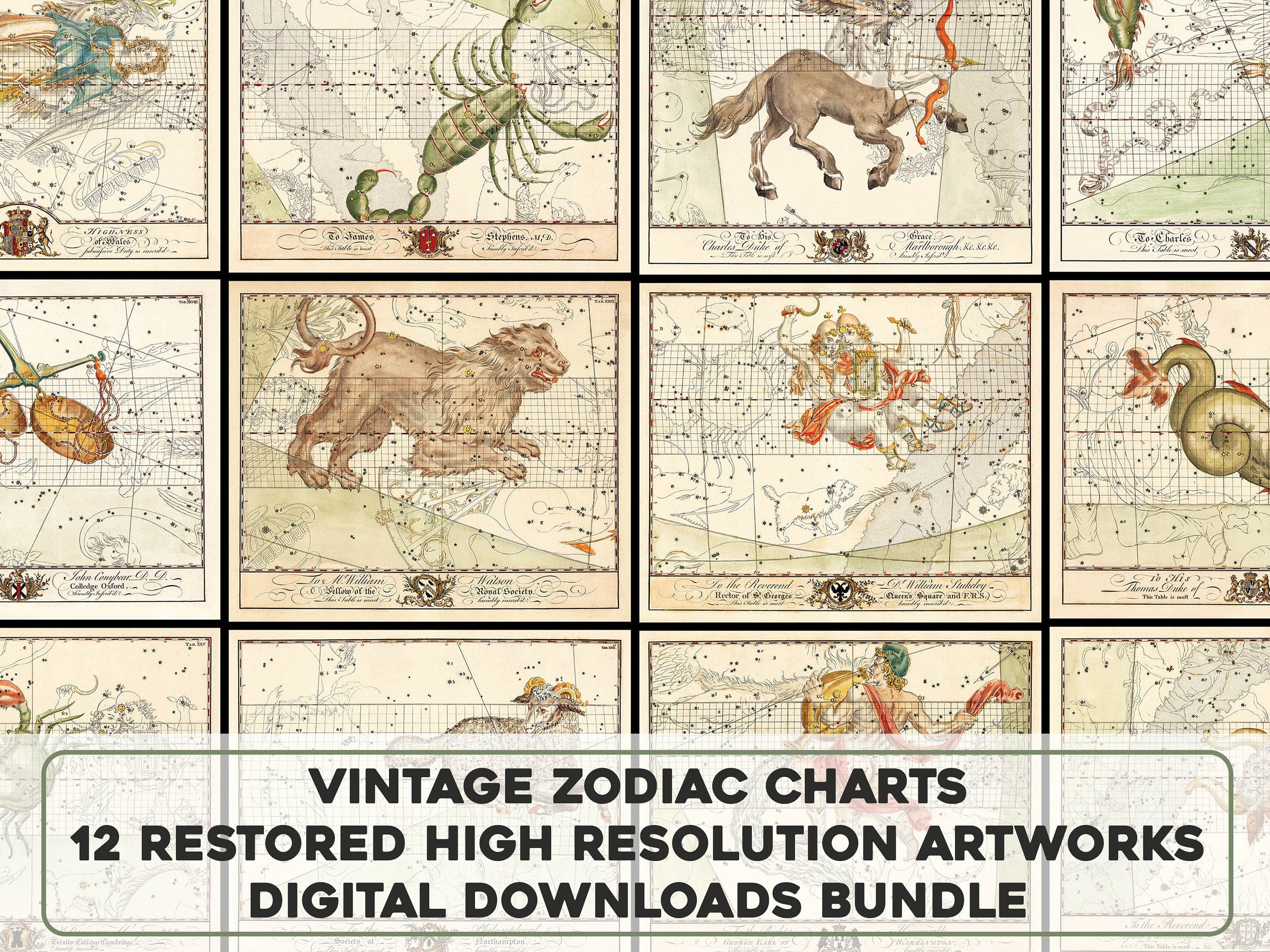 Astronomical Zodiac Star Charts | Zodiac & Astrology Images - CleanArchives