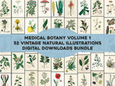 Medical Botany Set 1 | Medicinal Botanical Images - CleanArchives