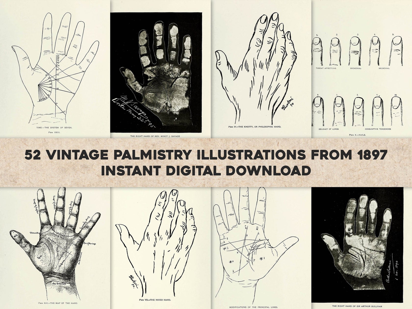 Cheiro's Language of the Hand | Esoteric Images - CleanArchives