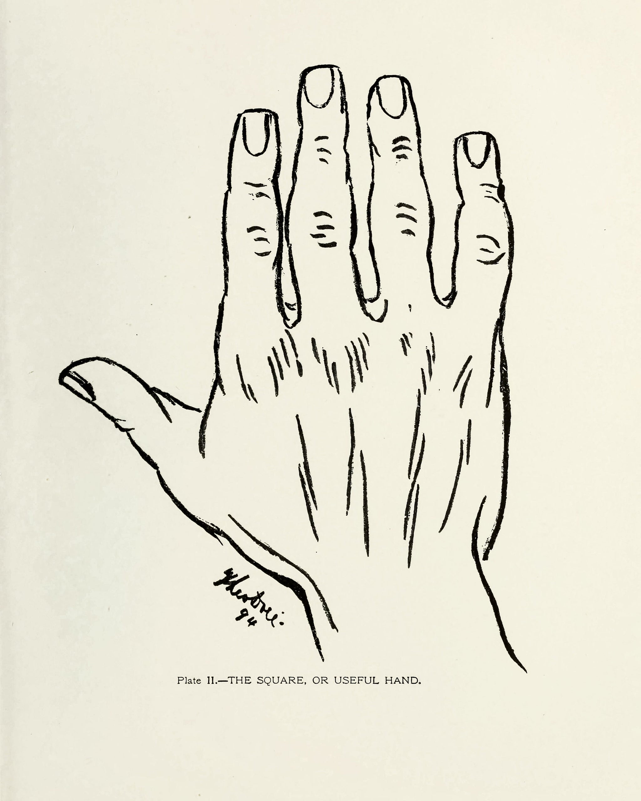 Cheiro's Language of the Hand | Esoteric Images - CleanArchives