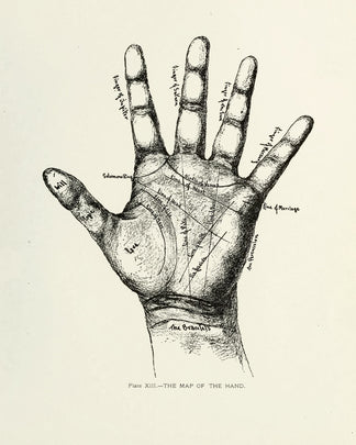 Cheiro's Language of the Hand | Esoteric Images - CleanArchives
