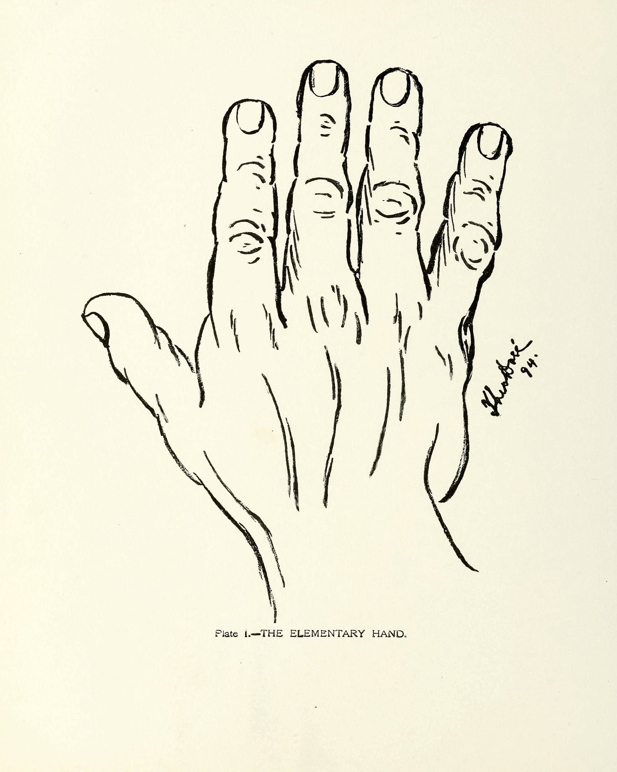 Cheiro's Language of the Hand | Esoteric Images - CleanArchives
