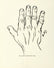 Cheiro's Language of the Hand | Esoteric Images - CleanArchives